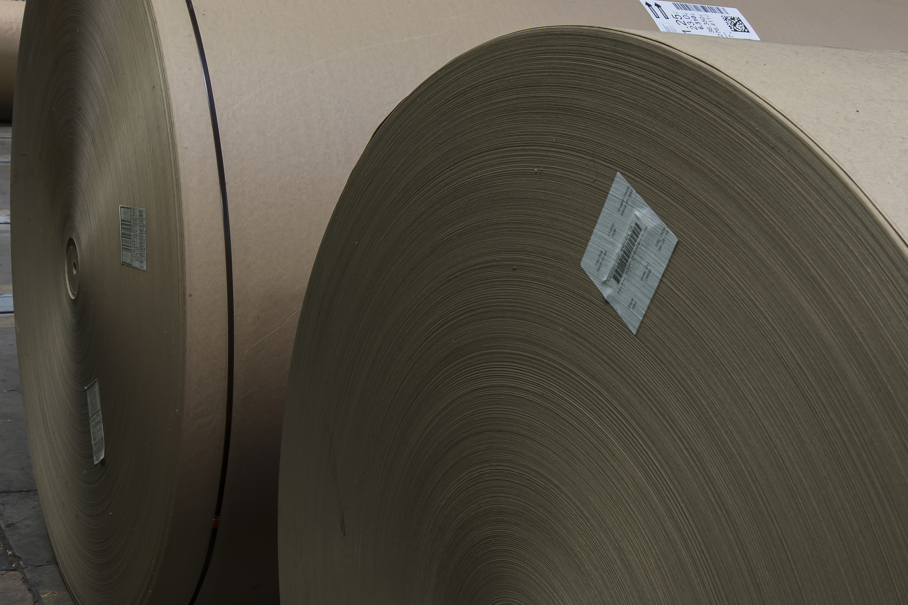 AMA Pro Flatrack 2016: Santa Rosa Mile – Kaweah Container, Inc.